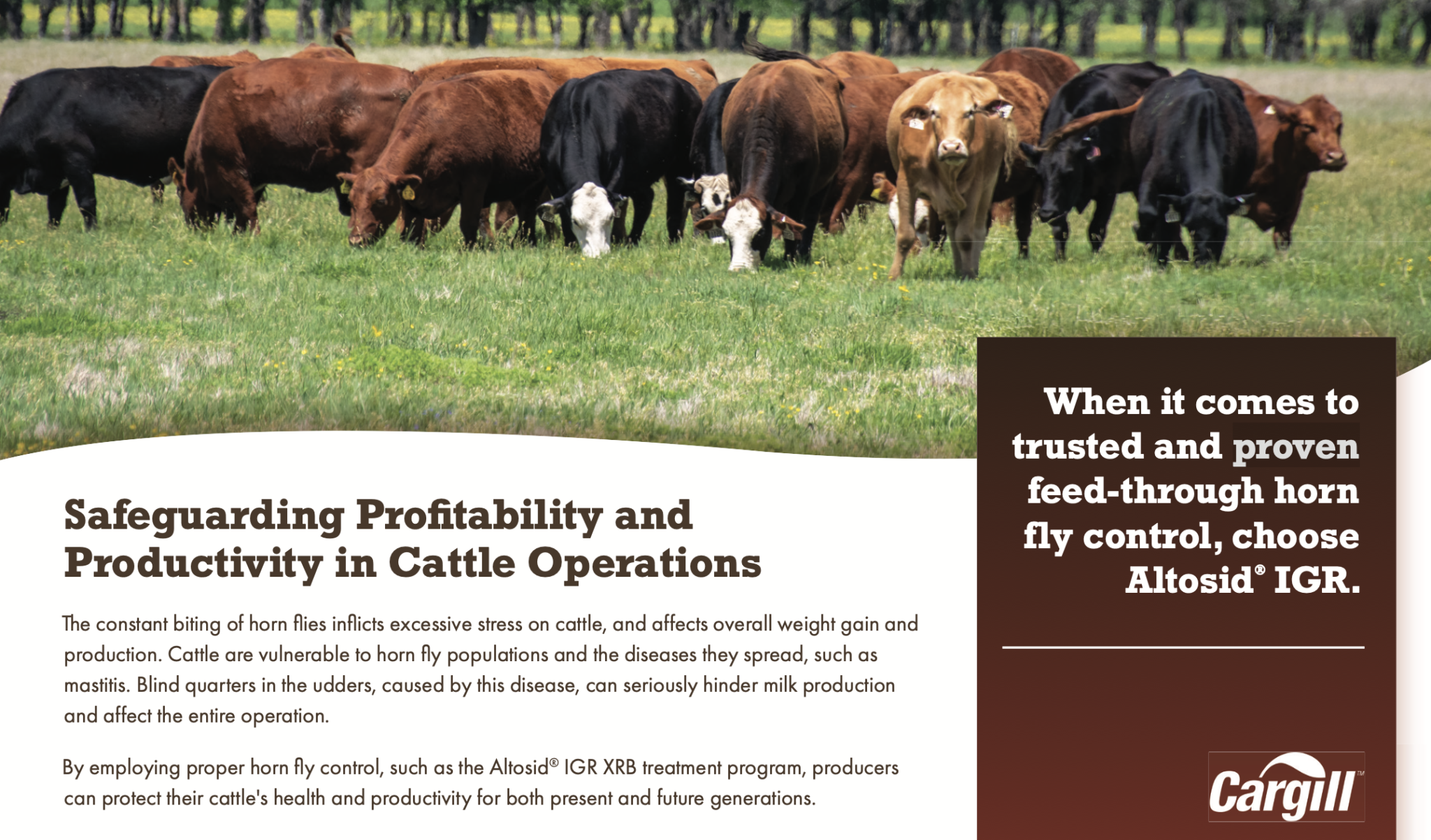 Bovine - Midwest Livestock