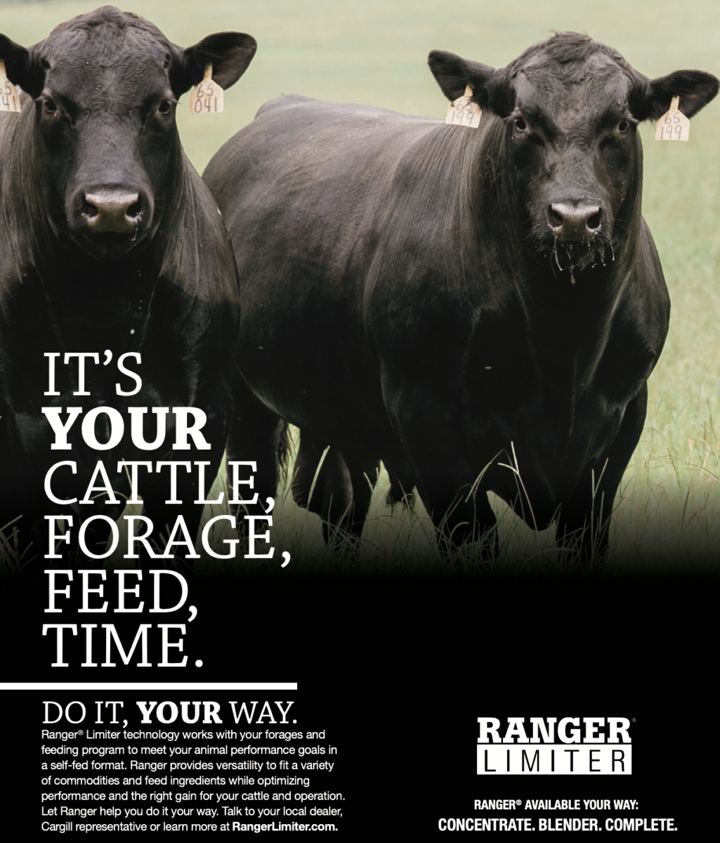 Bovine - Midwest Livestock